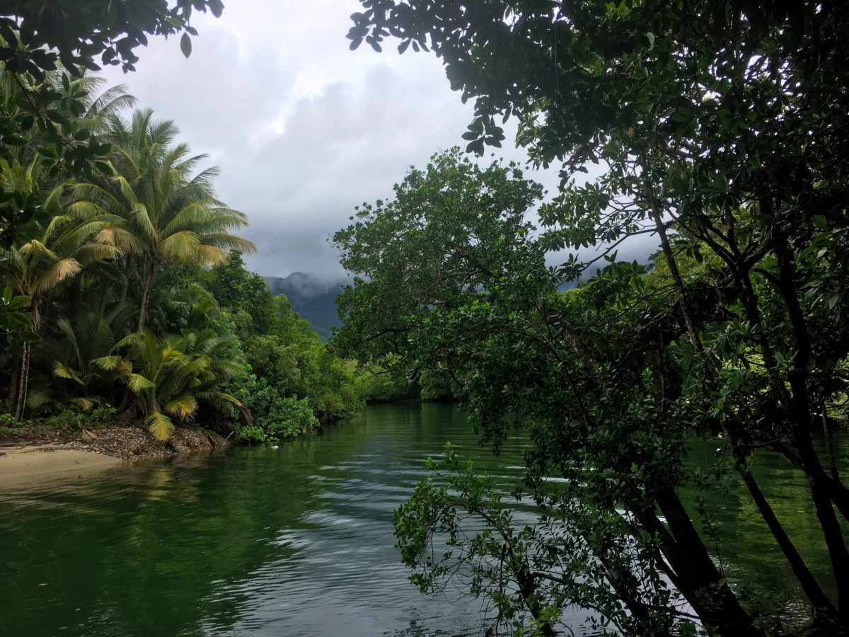 21 Awesome Things to do in the Daintree Rainforest - Schuck Yes