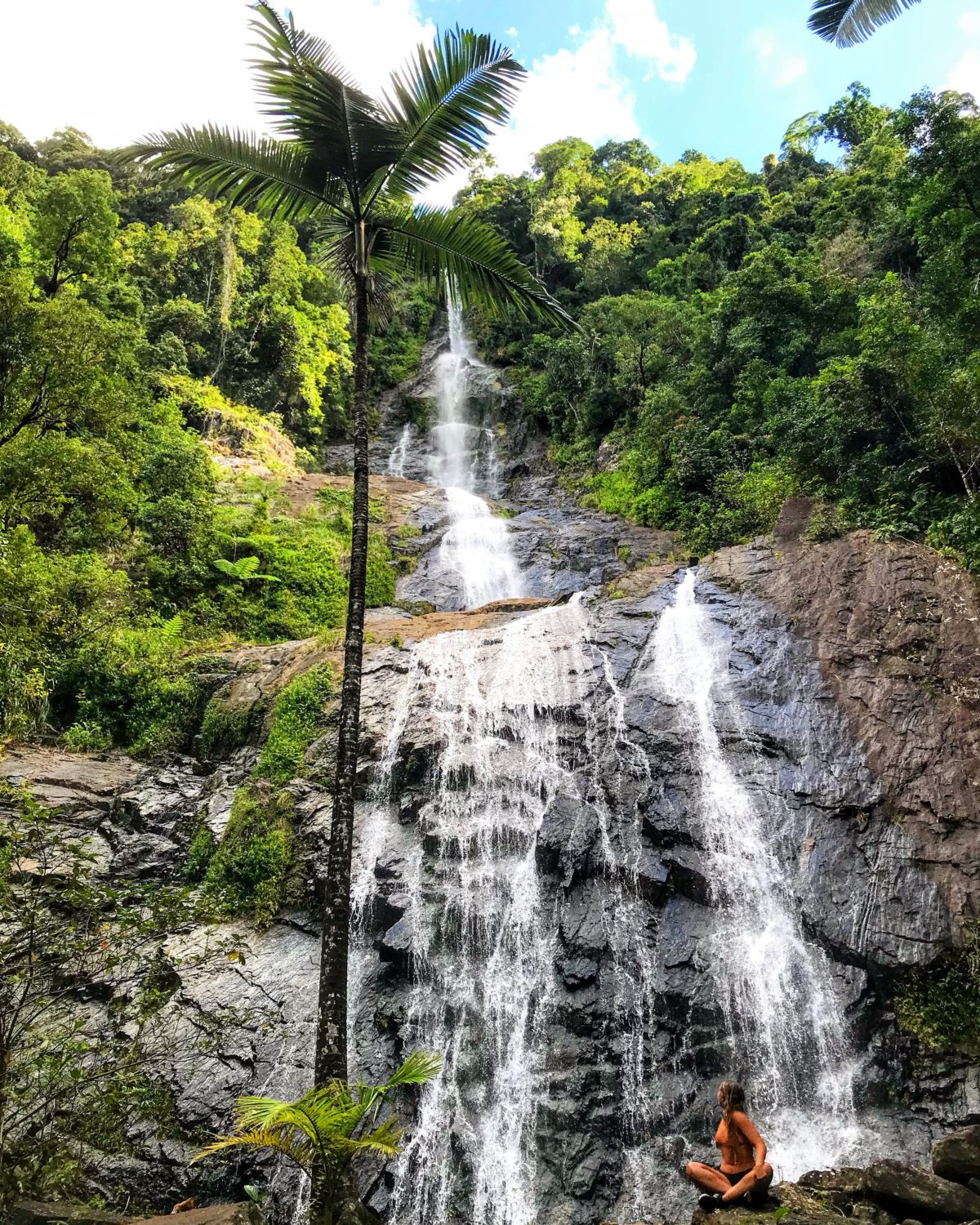 21 Awesome Things to do in the Daintree Rainforest - Schuck Yes