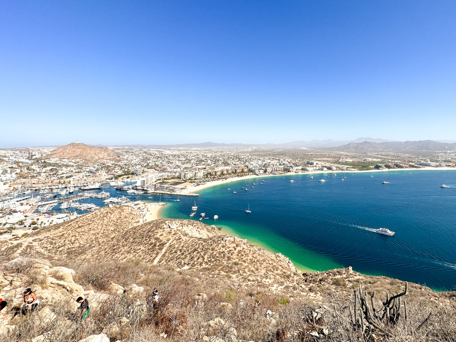 Hostel Review: Mayan Monkey Cabo San Lucas - Schuck Yes