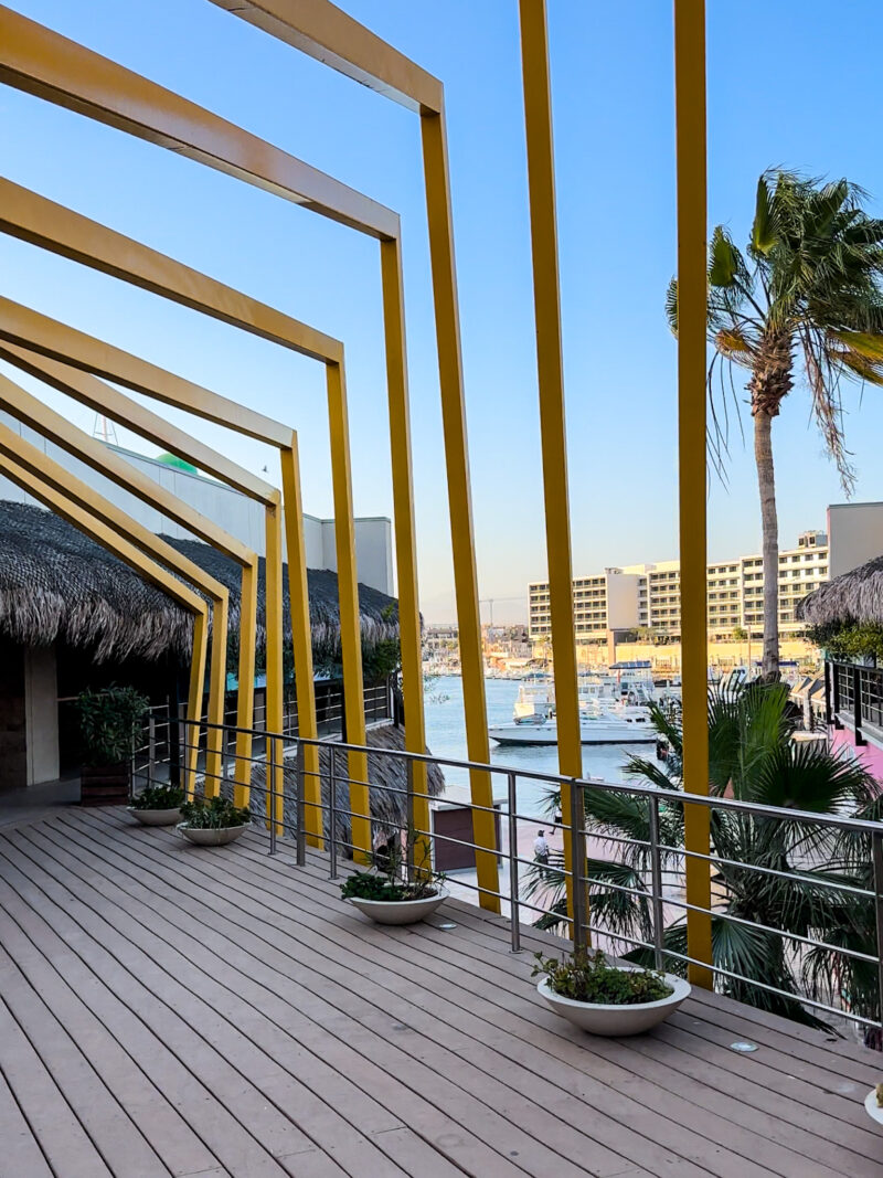 Hostel Review: Mayan Monkey Cabo San Lucas - Schuck Yes