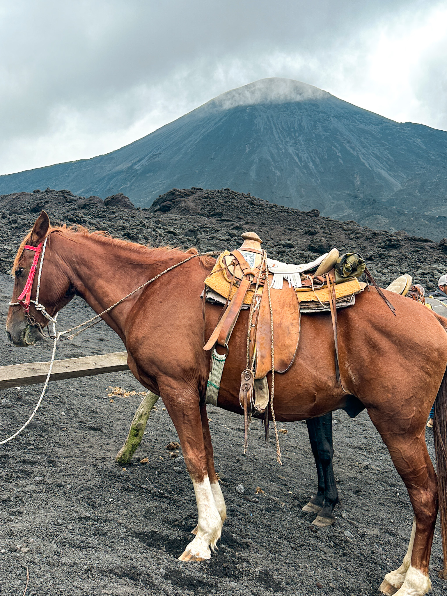 Pacaya Volcano Tour - Schuck Yes